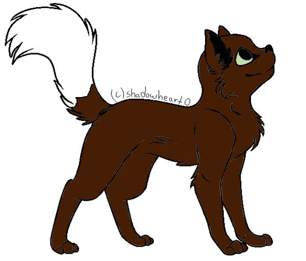 Hollypaw by Canarycloud407 on DeviantArt