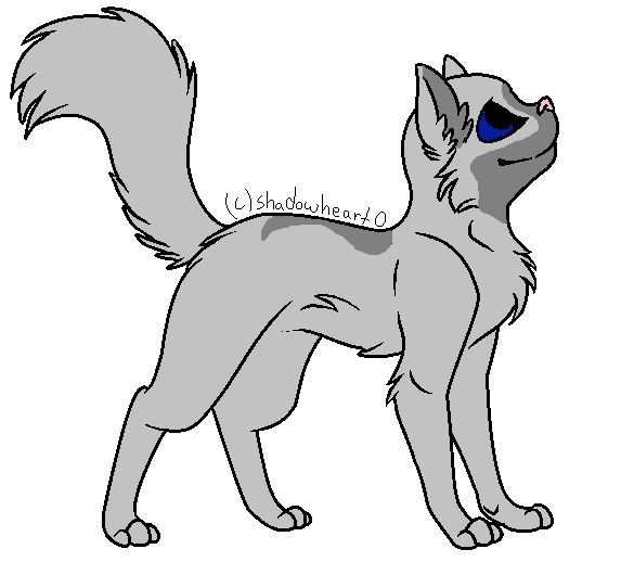 Dovepaw by Canarycloud407 on DeviantArt