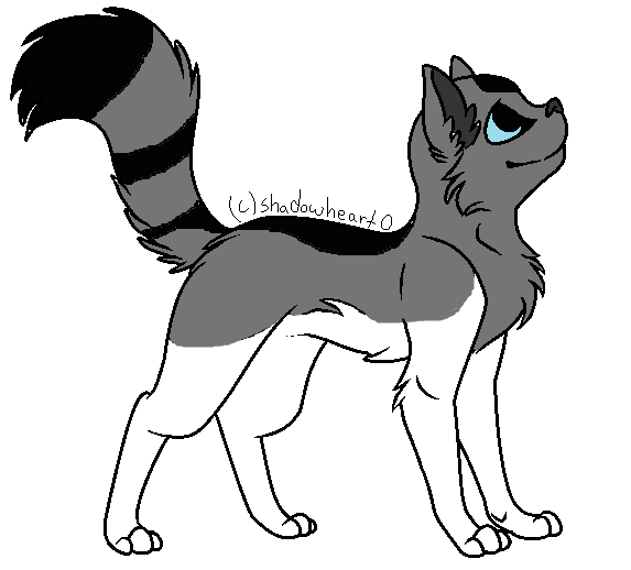 Stormkit by Canarycloud407 on DeviantArt