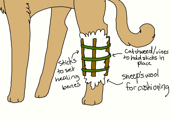 Leapfire's Four-Stick-Vine Splint by FlamingHeadphones on DeviantArt