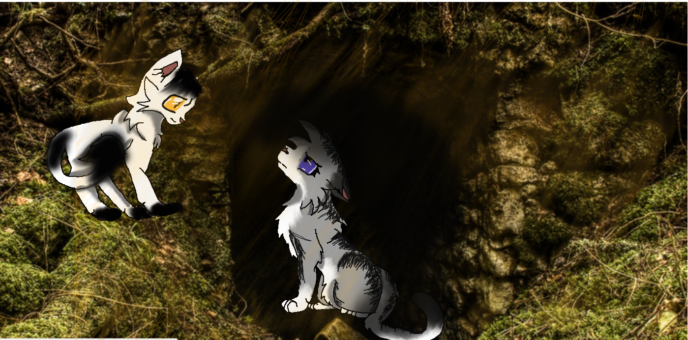 What are you doing here ShadowTail? by MaryssaTheArtist on DeviantArt