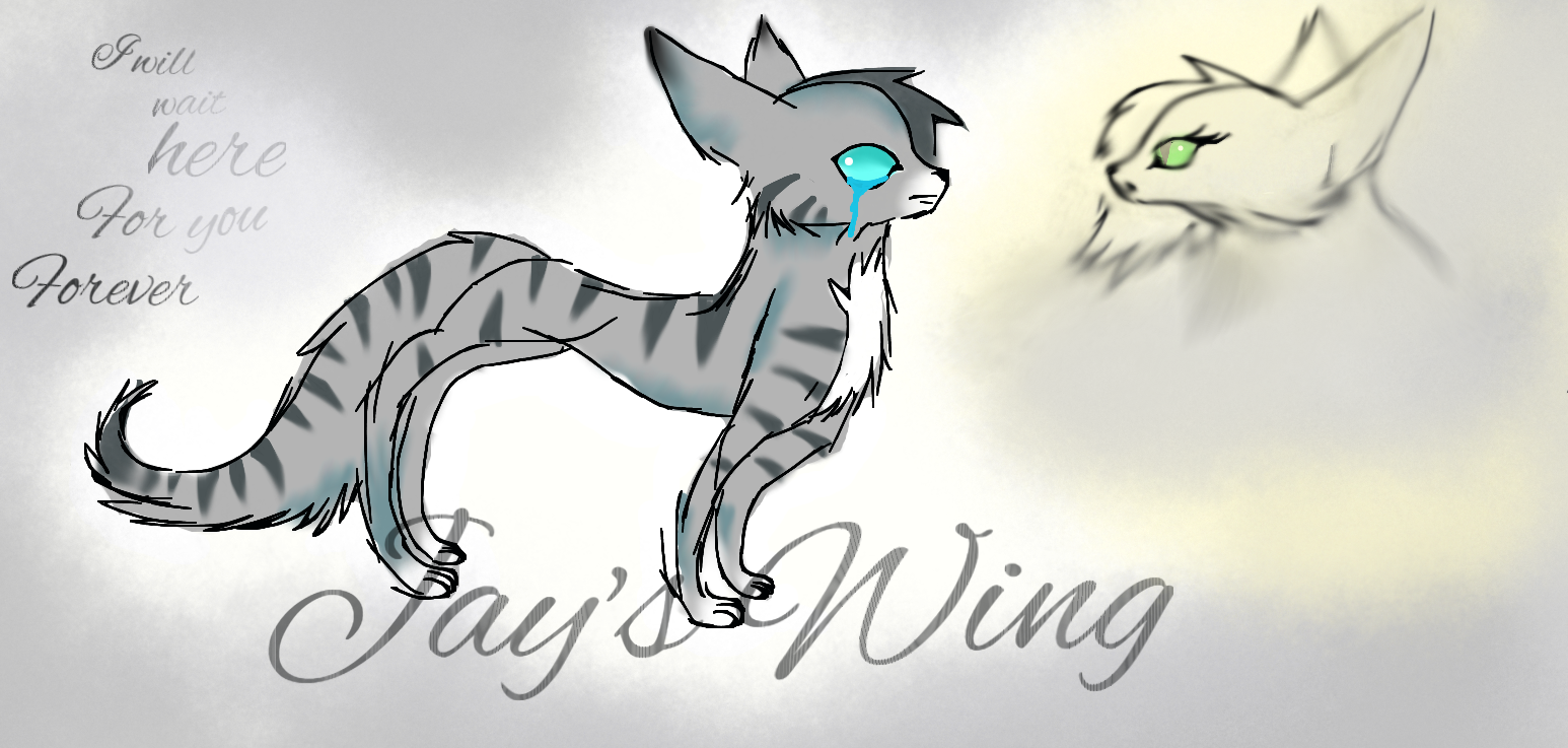 wARRIORS FANART by xXRisenFromTheMistXx on DeviantArt