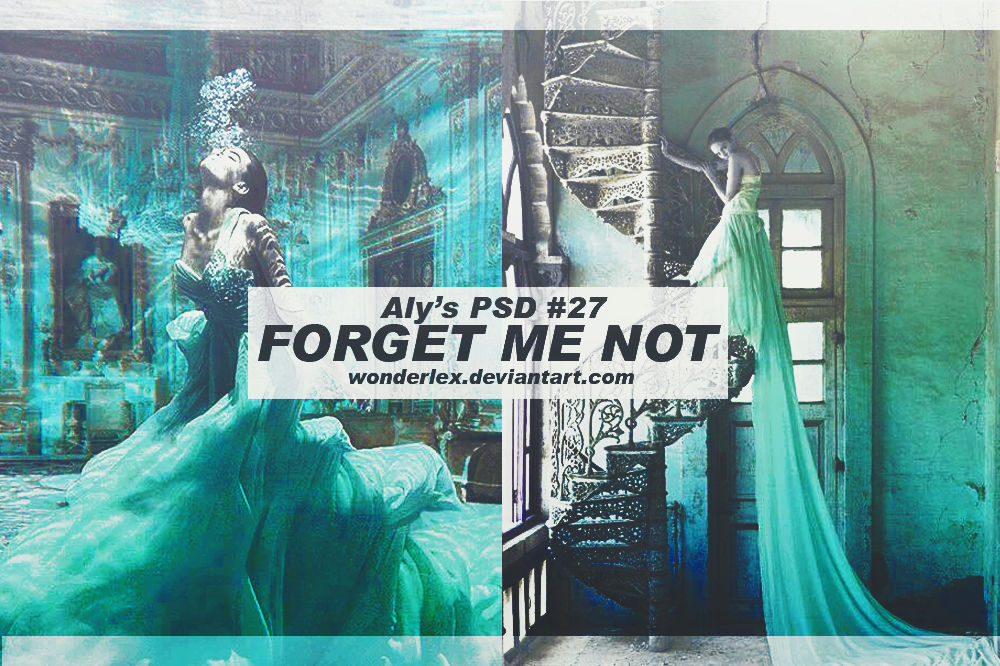 PSD #27 - FORGET ME NOT by wonderlex on DeviantArt