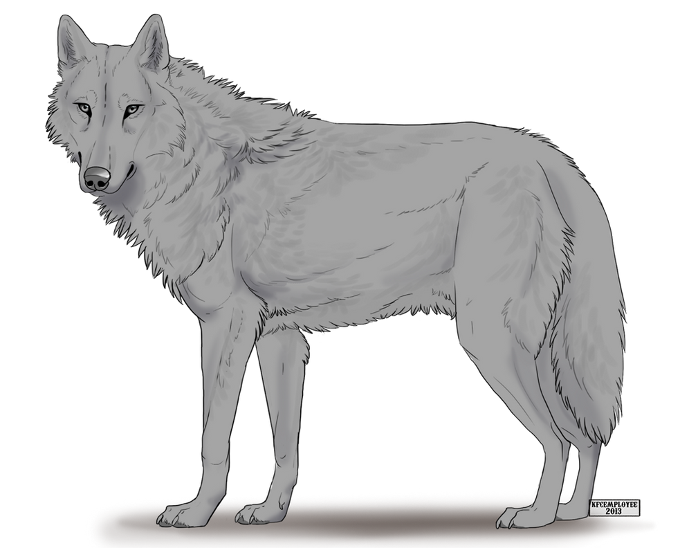 KFCEmployee's FREE Wolf Lineart with Fur/Shading by Chickenbusiness on ...