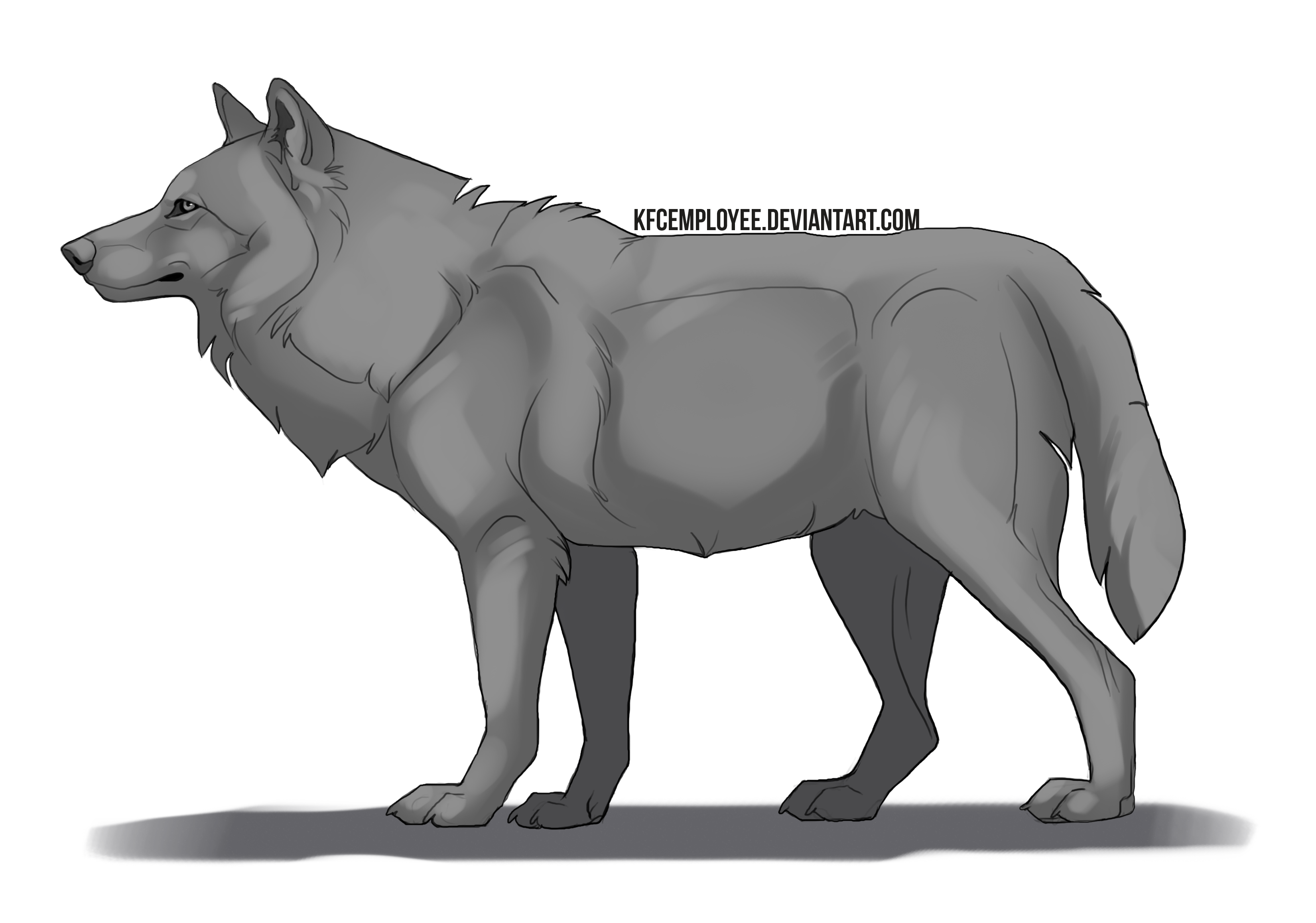 Free shaded wolf lineart by bestfriend KFCemployee by Chickenbusiness ...
