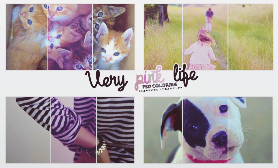 PSD Very Pink Life by RoaringWindd on DeviantArt