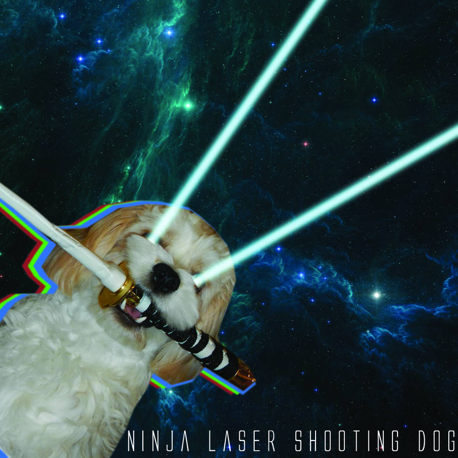 Ninja Laser Shooting Dog! by VortonicDesigns on DeviantArt