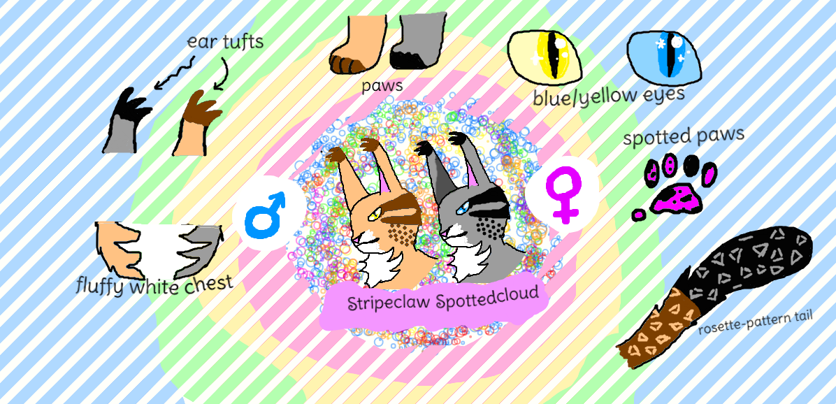 Stripeclaw and Spottedcloud by smobaraki on DeviantArt