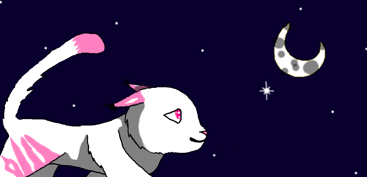 Raspberry Looking Up by smobaraki on DeviantArt