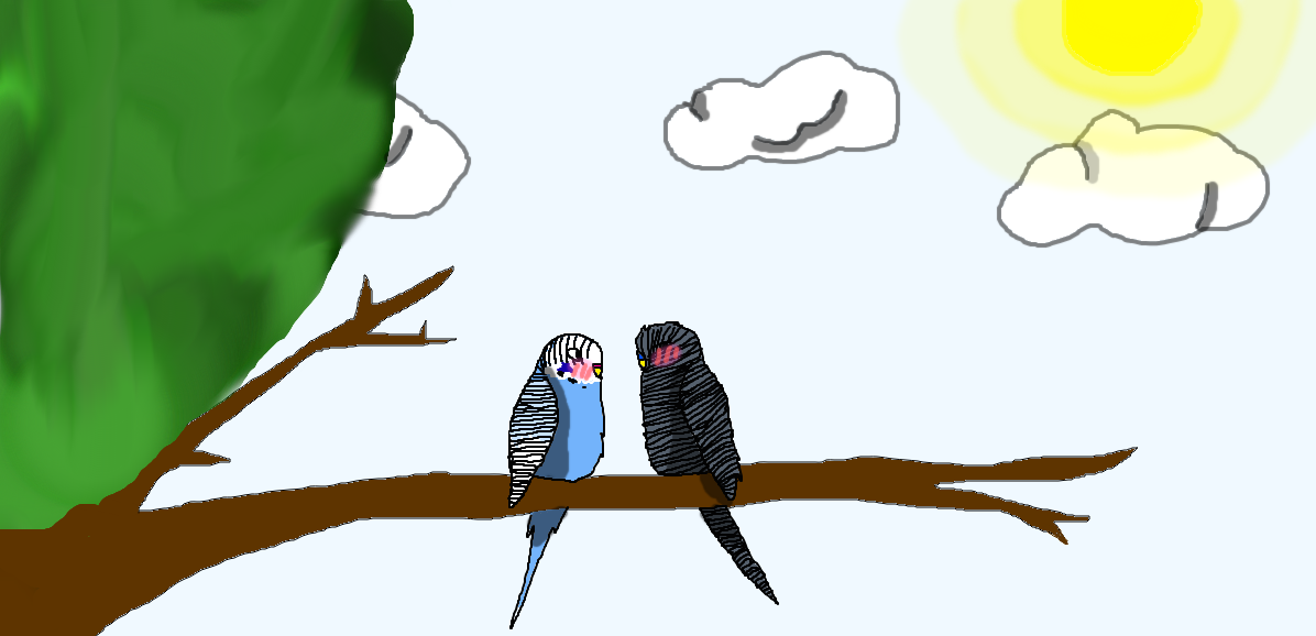 Budgies by smobaraki on DeviantArt