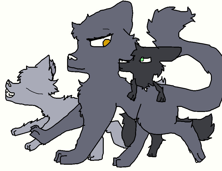 russian blue cat anatomy test by cocoamarshmellow on DeviantArt