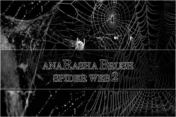 spider web brush 2 by anaRasha-stock on DeviantArt