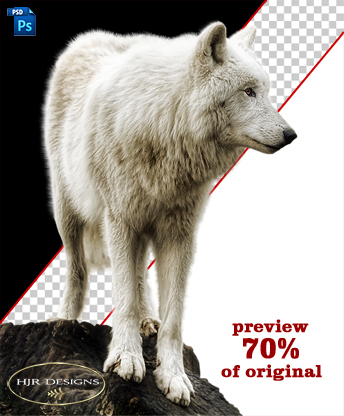 HJR-WhiteWolf by HJR-Designs on DeviantArt