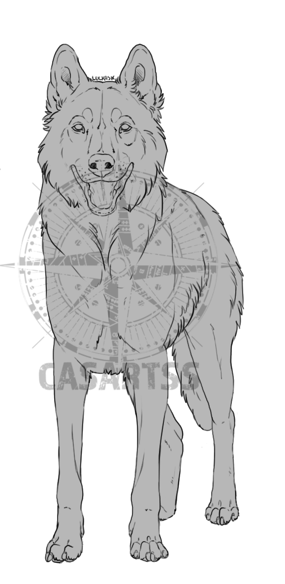 FREE Wolf Line Art by CasArtss on DeviantArt