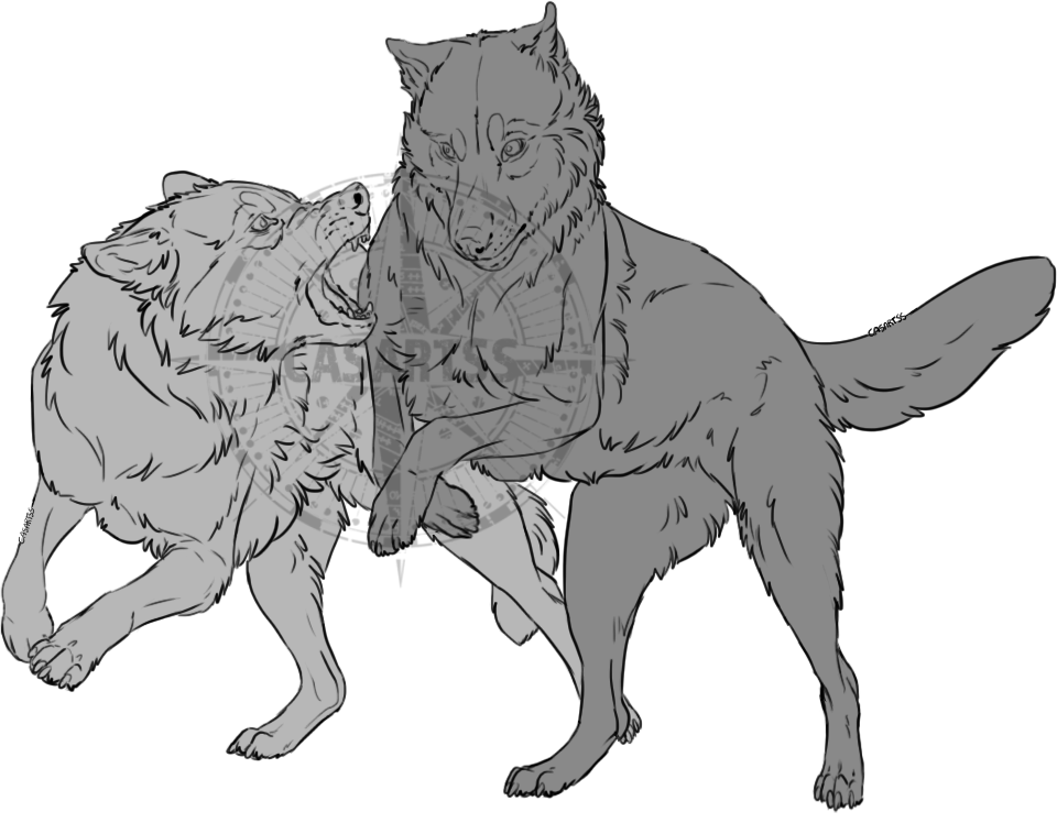 Fighting Wolf Lineart