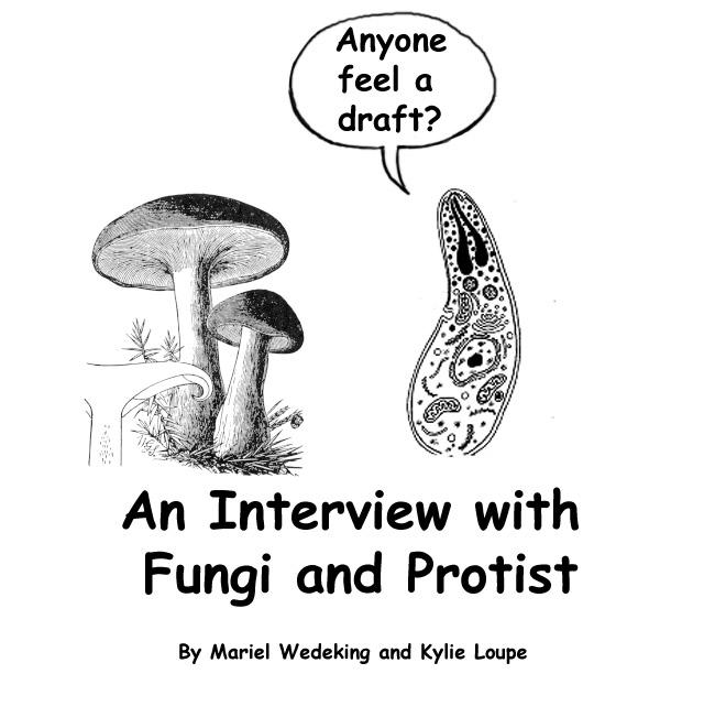 An Interview By Luna Kitsune Blu On Deviantart