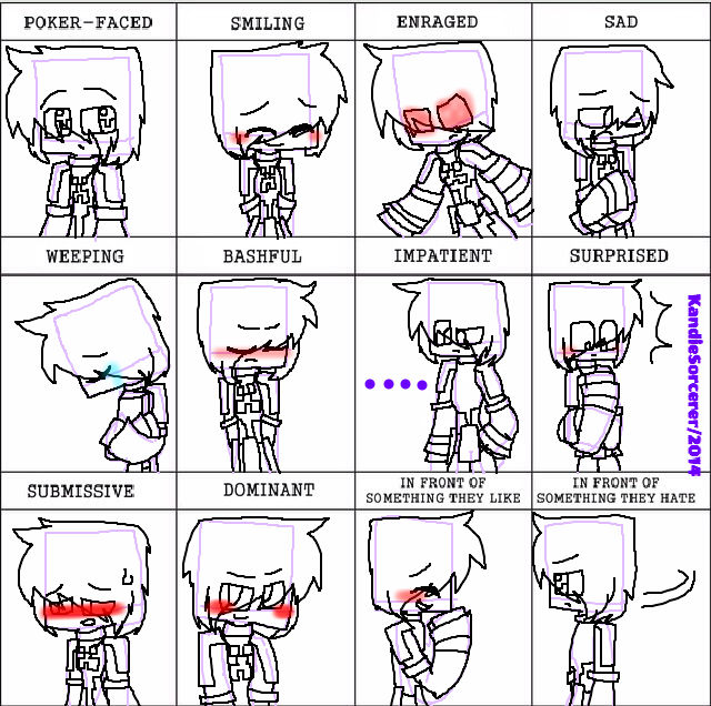 Facial Expression meme-SetoSorcerer by KandieSorcerer on DeviantArt