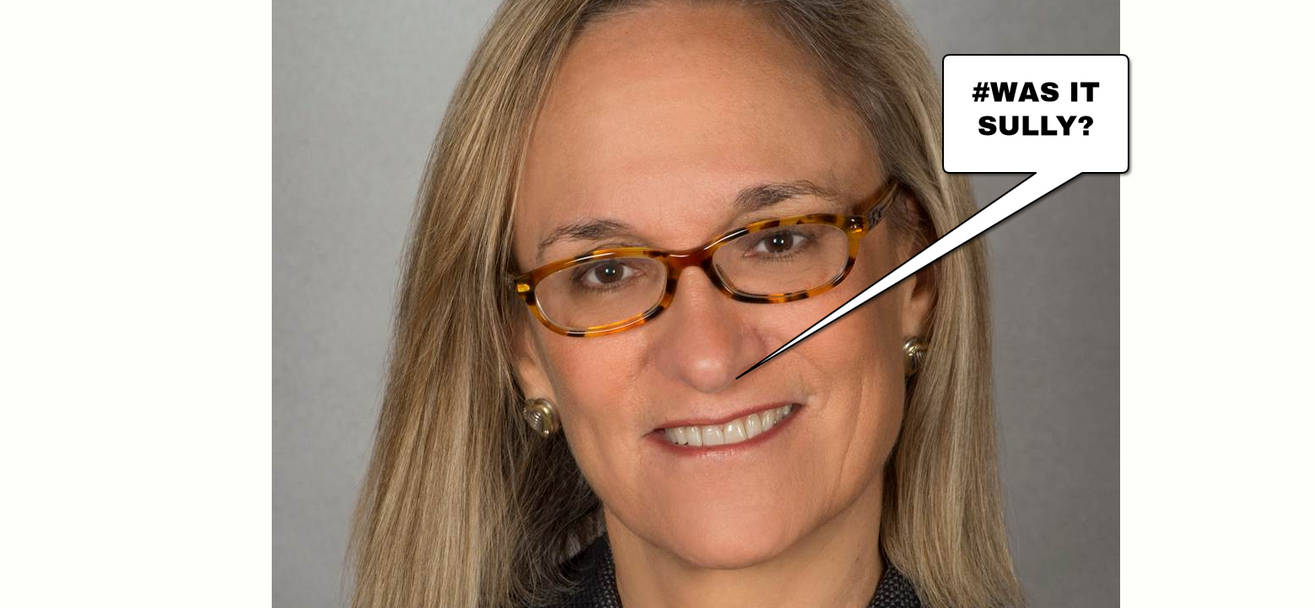 sully by burtonbatman on DeviantArt