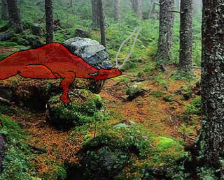 Dragons lore by CortexFire on DeviantArt
