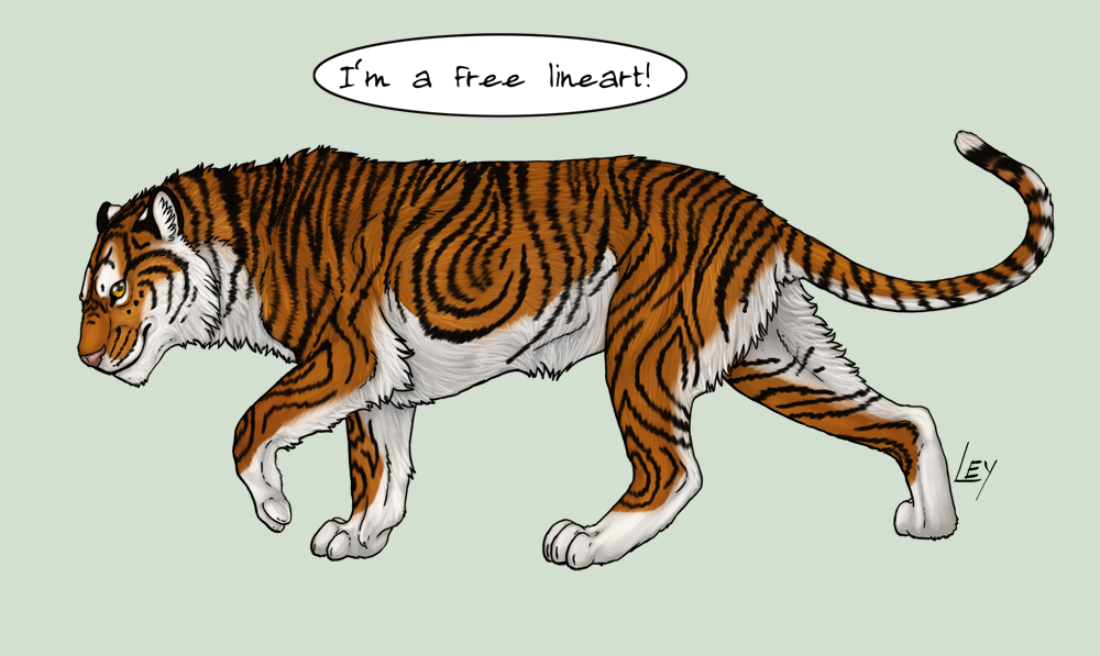 Free Lineart - Tiger by Mikaley on DeviantArt