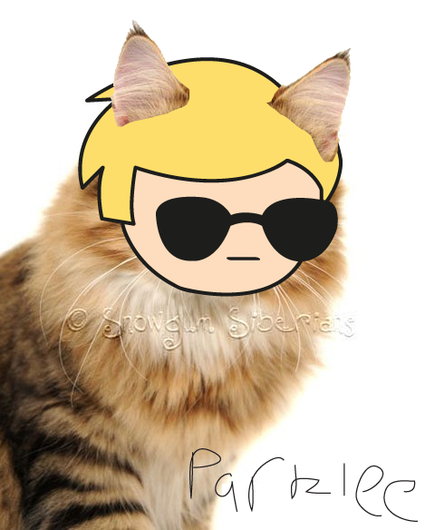 Davecat by TheParkleeRider on DeviantArt