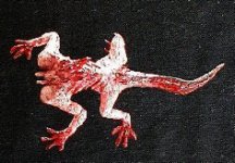 Albinoid Rotation by kramwartap on DeviantArt