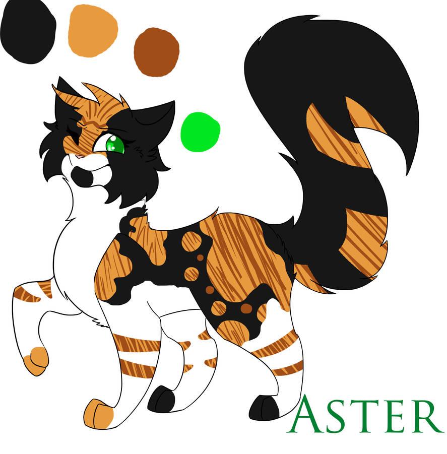 Aster by Jillybeanie on DeviantArt