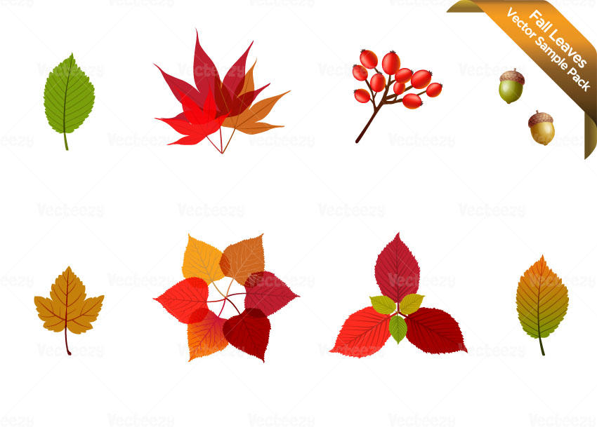 Fall Leaves Sample Vector Pack by Vecteezy on DeviantArt