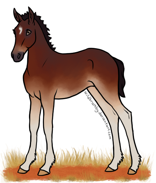 Foal Lines by wildbrumby on DeviantArt