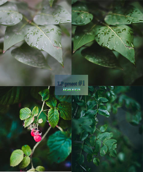 LP preset #1: Leaves by lenich123 on DeviantArt