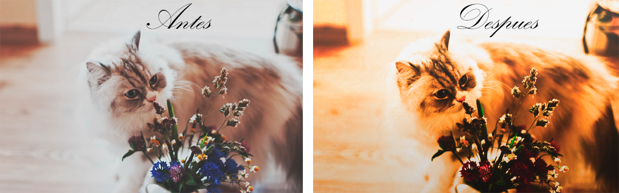 Psd Coloring Vintage by iOneLastTime on DeviantArt