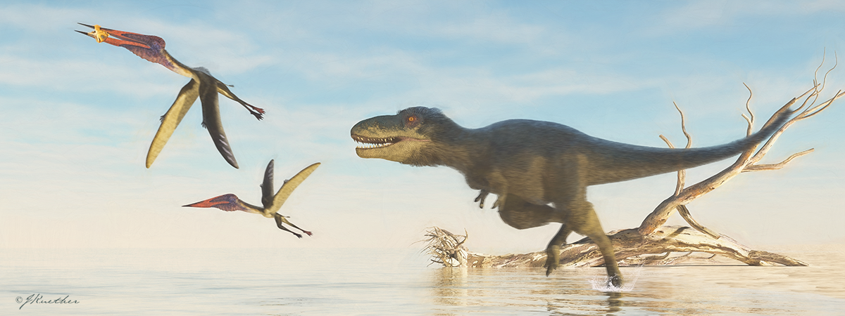 Timurlengia by PaleoGuy on DeviantArt