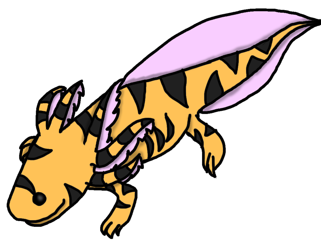 tiger axolotl by sherikooami on DeviantArt