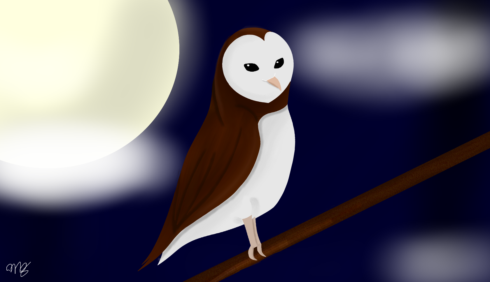 Barn Owl by Dusk-Star17 on DeviantArt