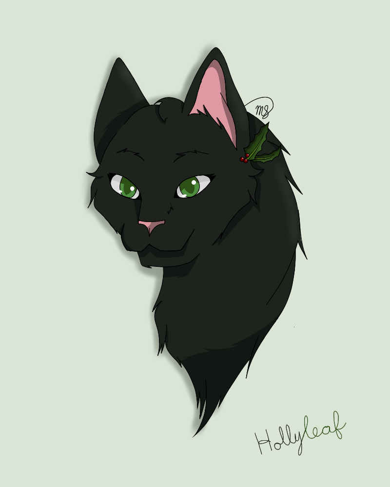 Hollyleaf (Request) by Dusk-Star17 on DeviantArt
