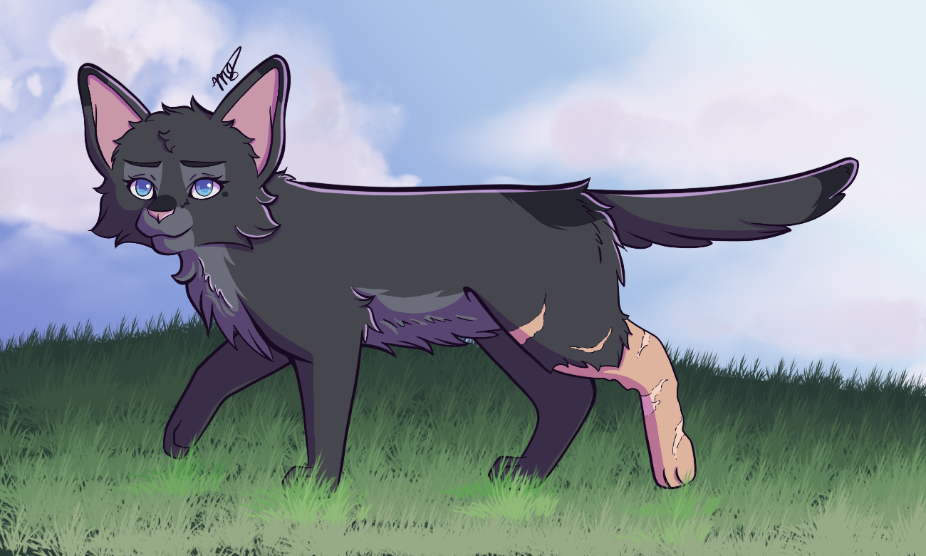 Cinderpelt by Dusk-Star17 on DeviantArt