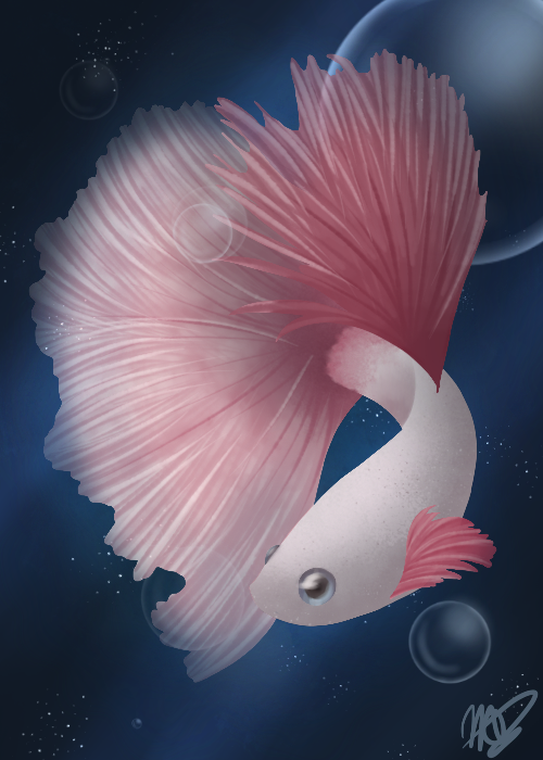 Betta Fish by Dusk-Star17 on DeviantArt