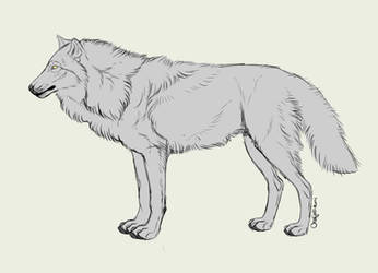 Explore the Best Wolf_base Art | DeviantArt