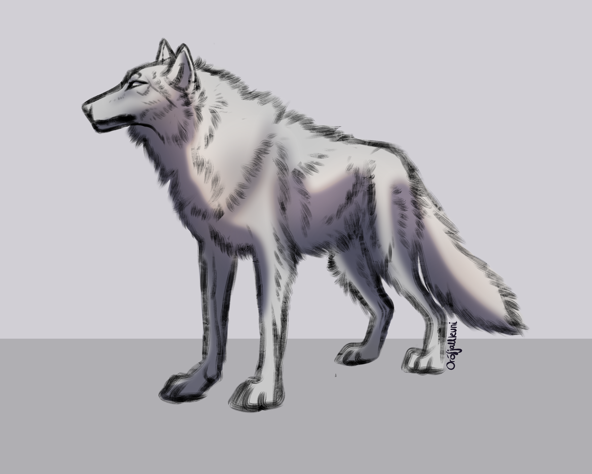 Wolf Base [Free to use] by Orofjallkuni on DeviantArt