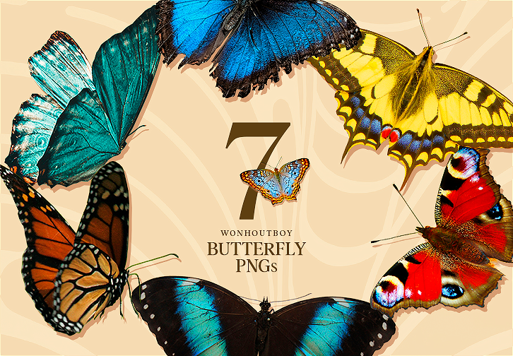 PNG PACK #7 BUTTERFLIES by wonhoutboy on DeviantArt