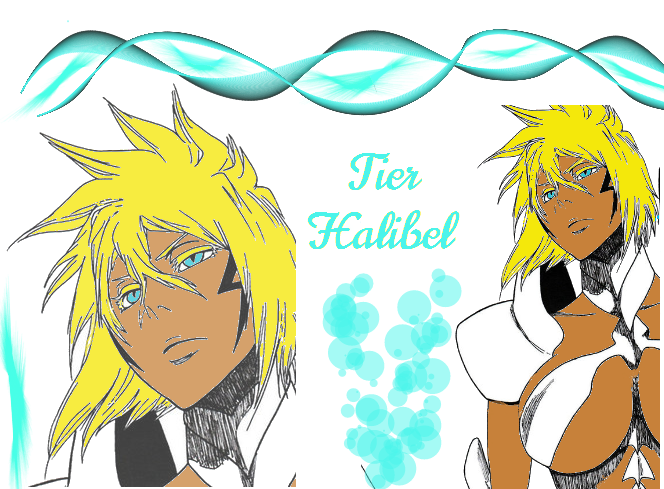 Tier Halibel Arrancar No. 3 by InfamousWarriorArt on DeviantArt