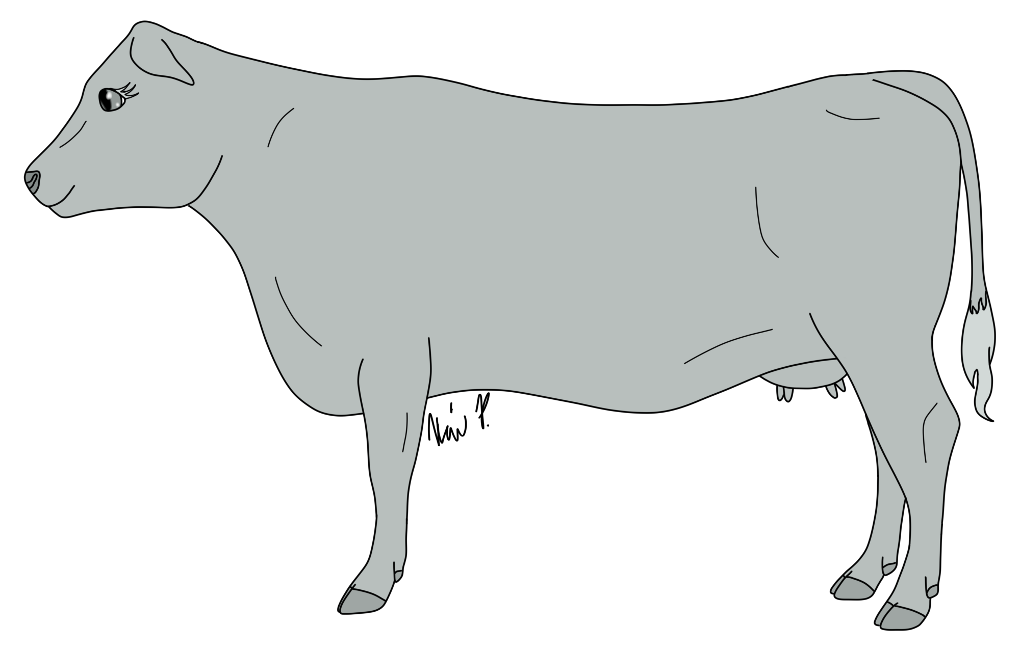 Wagyu Heifer Lines by n-the-giraffe on DeviantArt