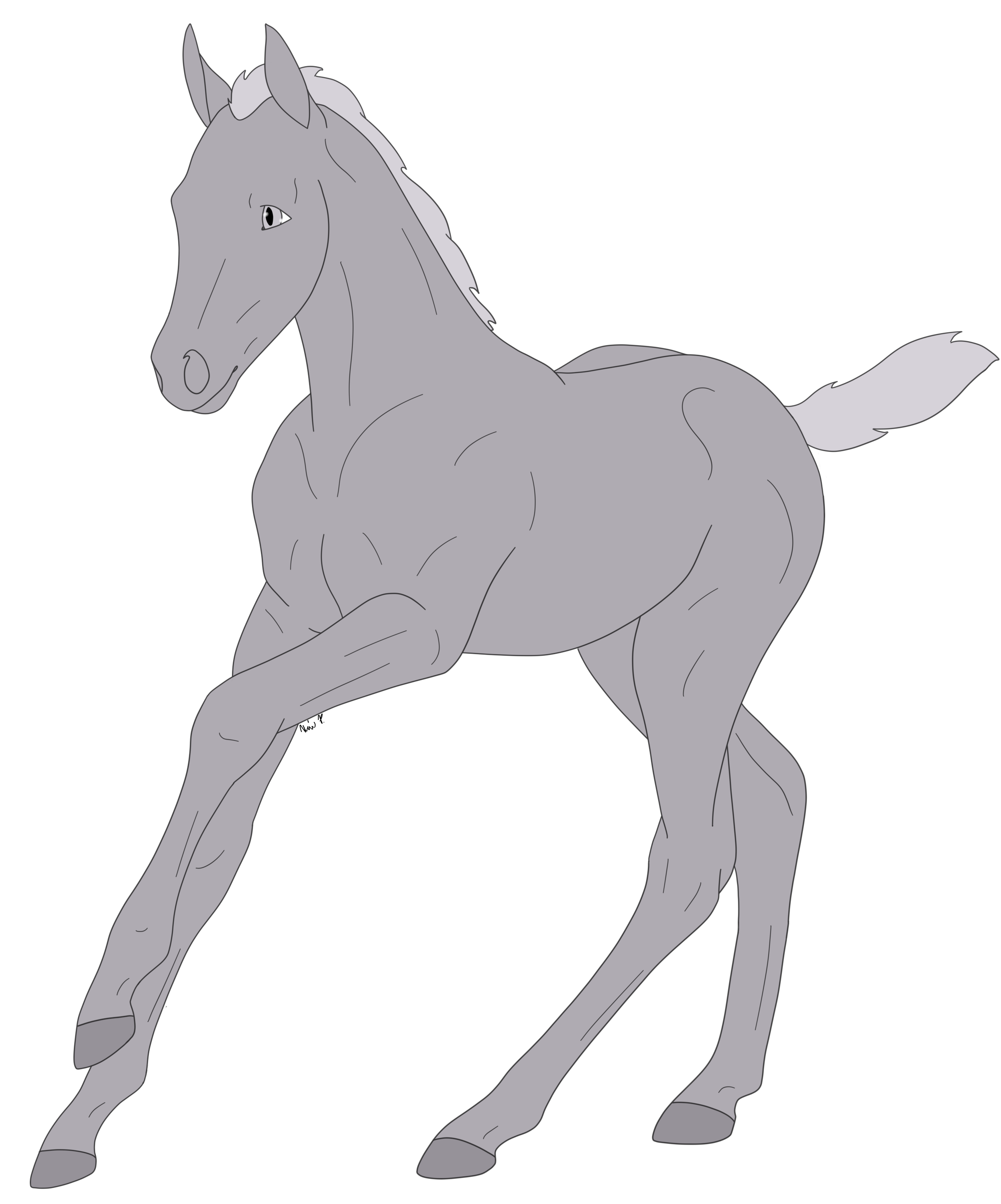 Foal F2U Base by n-the-giraffe on DeviantArt