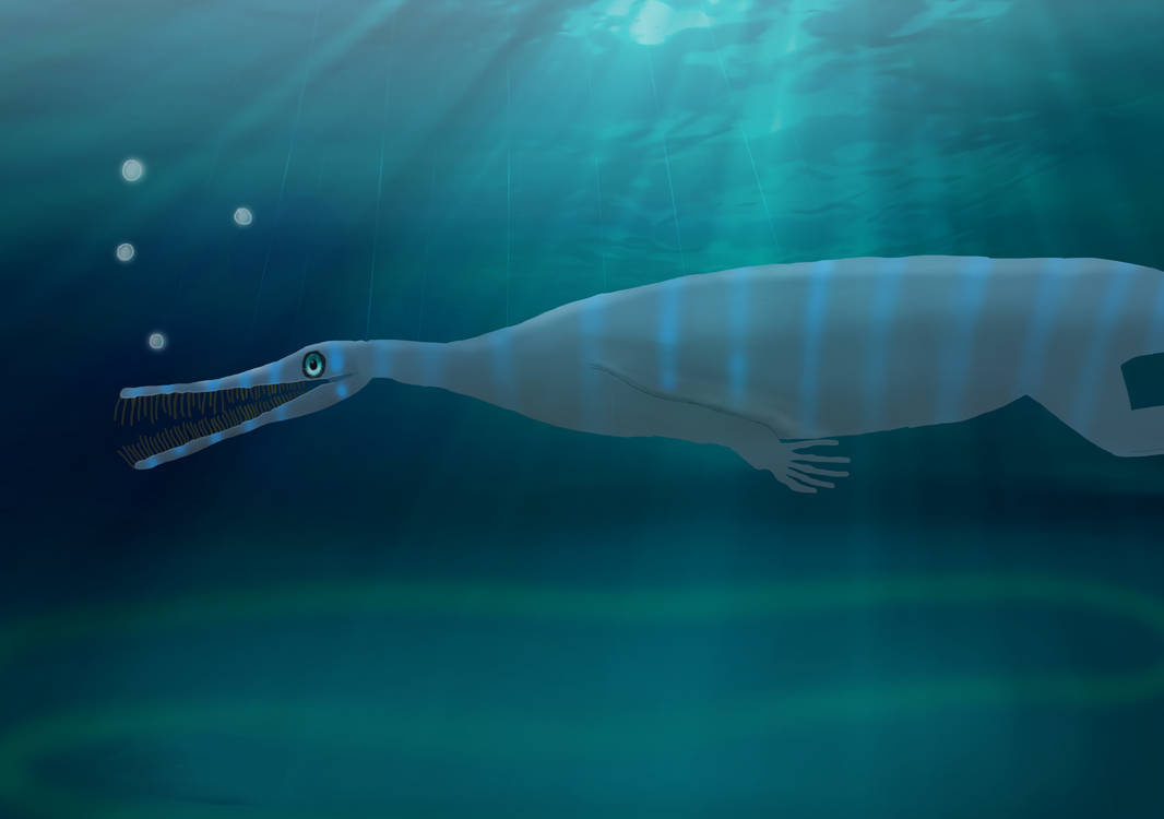 Mesosaurus tenuidens by NickBrown27 on DeviantArt