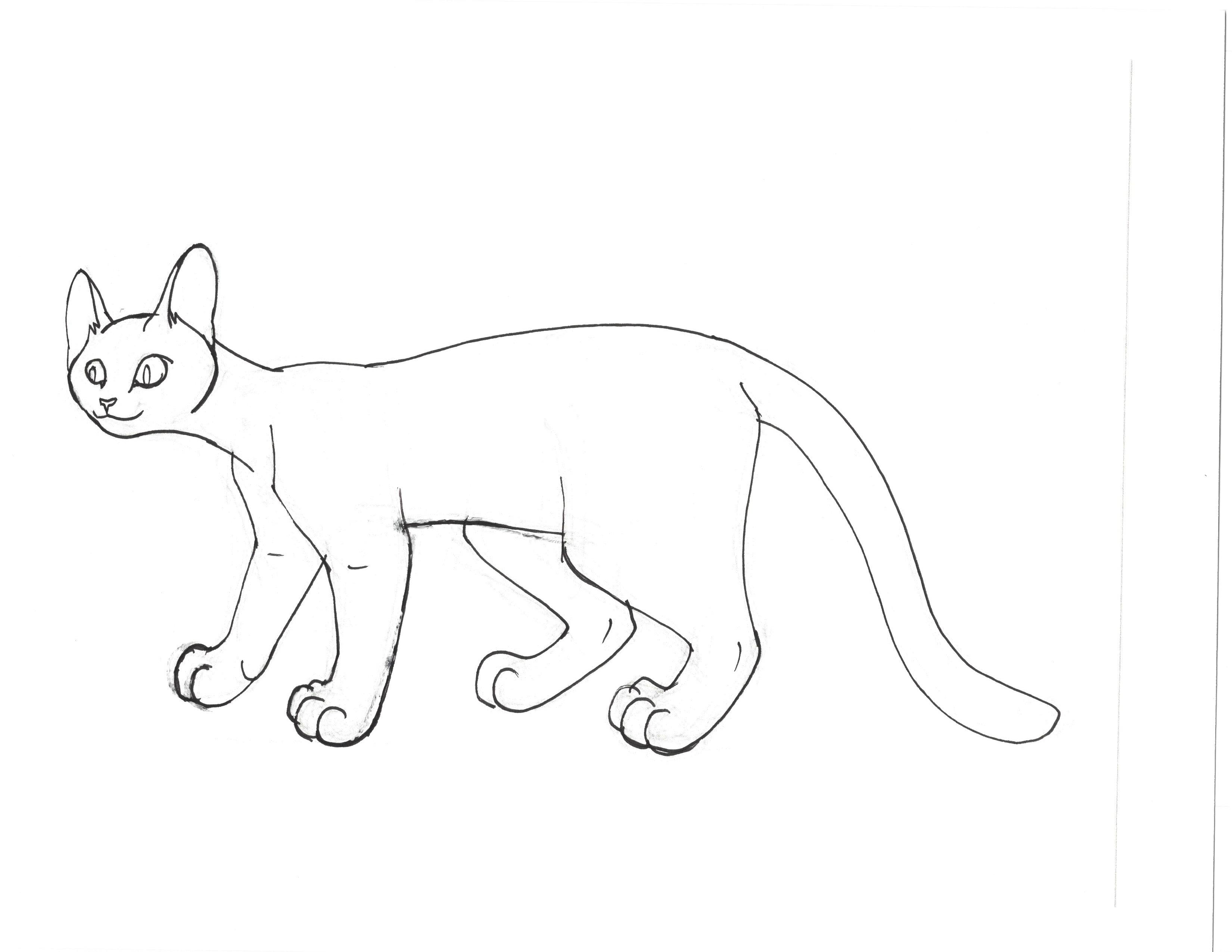 Southern African Wildcat Lineart by MrBig2 on DeviantArt