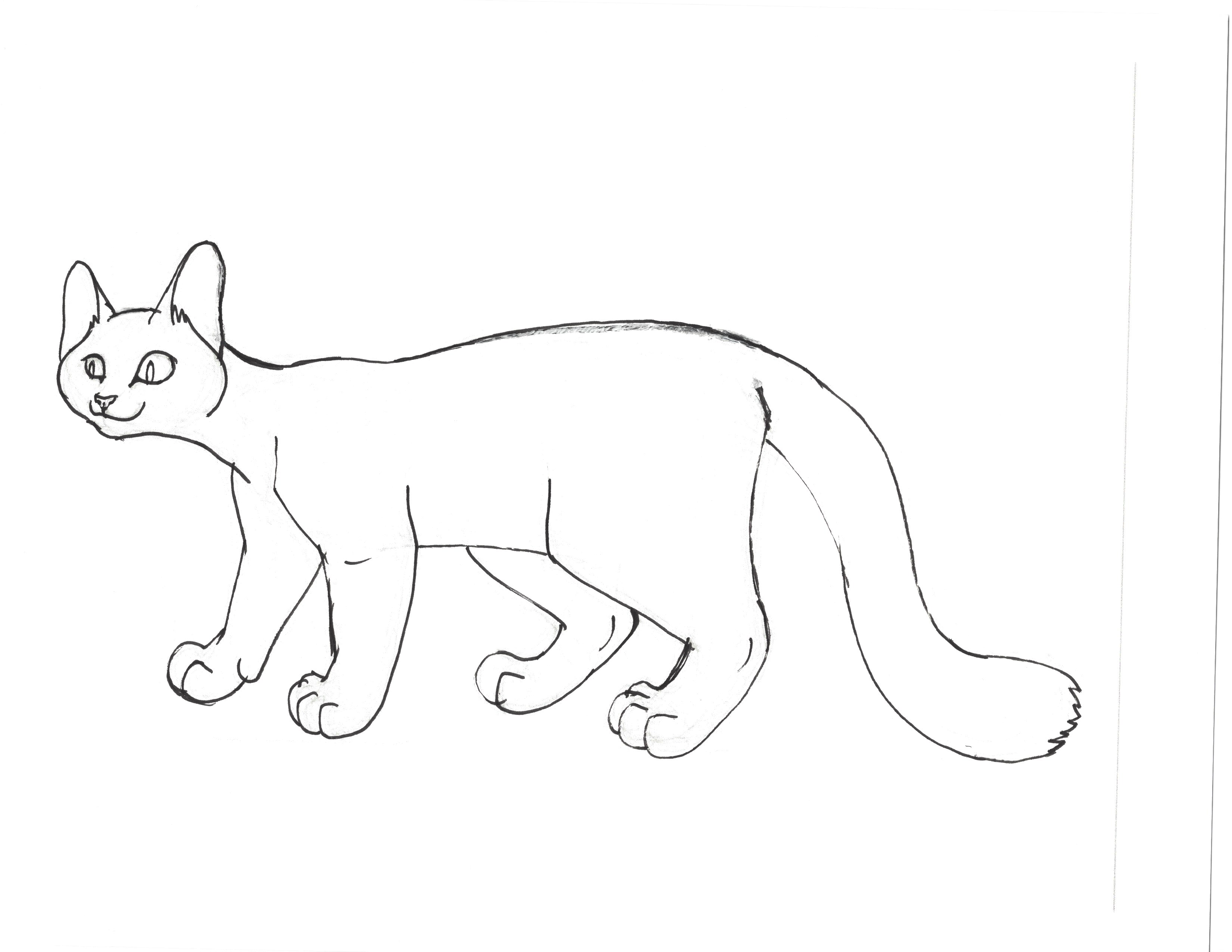 European Wildcat Lineart by MrBig2 on DeviantArt