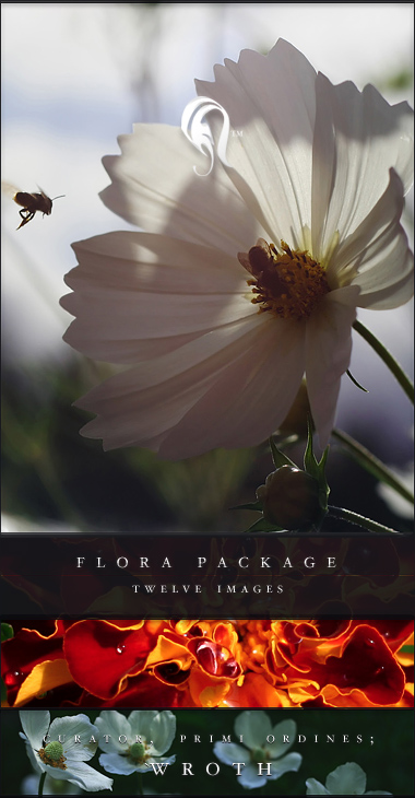 Package - Flora - 10 by resurgere on DeviantArt
