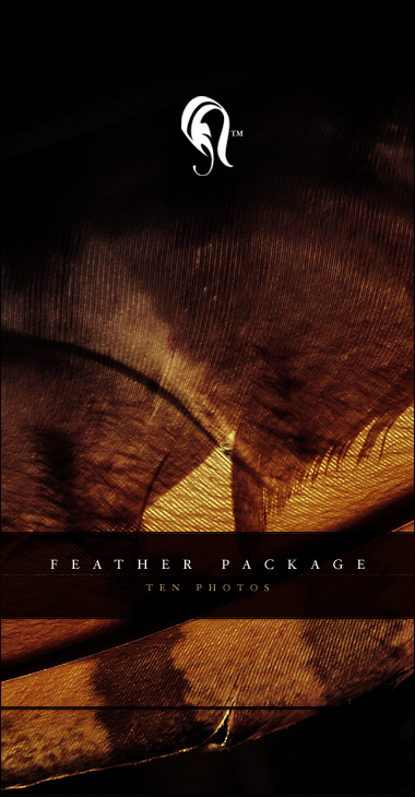 Package - Feather - 3 by resurgere on DeviantArt