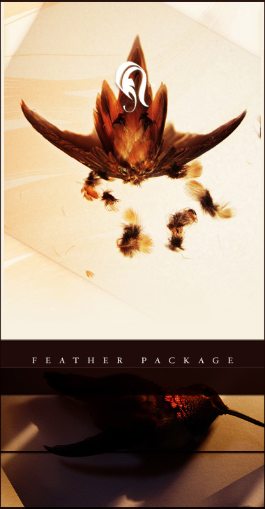 Package - Feather - 5 by resurgere on DeviantArt
