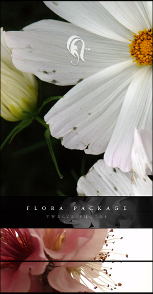 Package - Flora - 5 by resurgere on DeviantArt